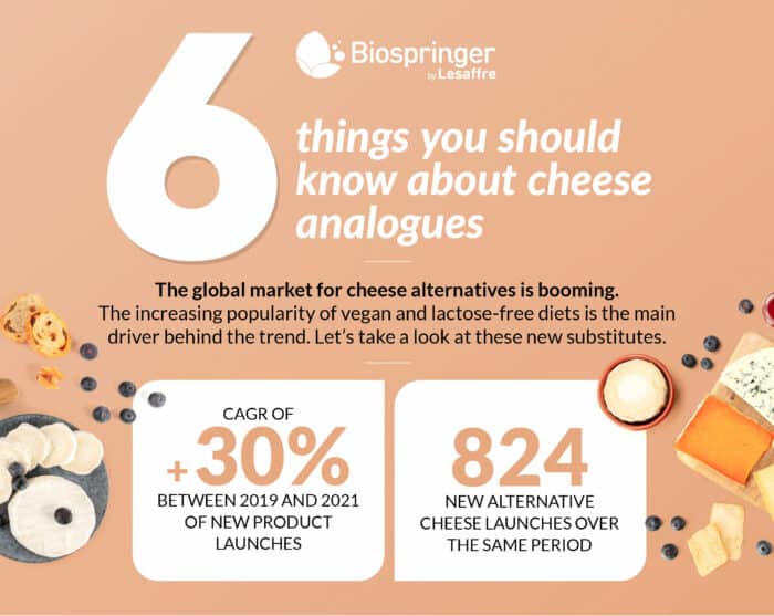 6 things you should know about cheese analogues • Biospringer
