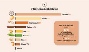 6 things you should know about cheese analogues • Biospringer