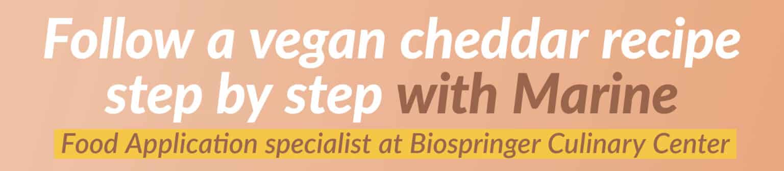 Follow a vegan cheddar recipe step by step • Biospringer