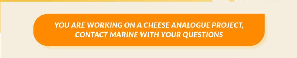 Follow a vegan cheddar recipe step by step • Biospringer