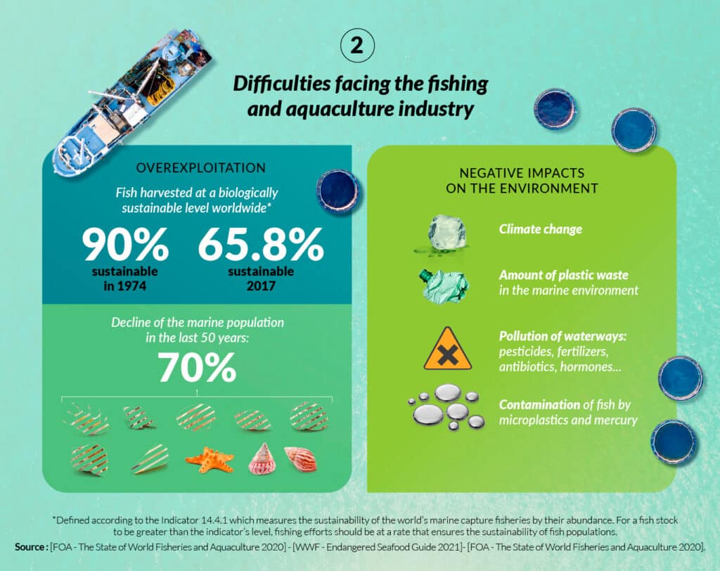 Learn how your plant-based fish can beat the stream • Biospringer