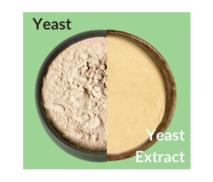 What is yeast extract?