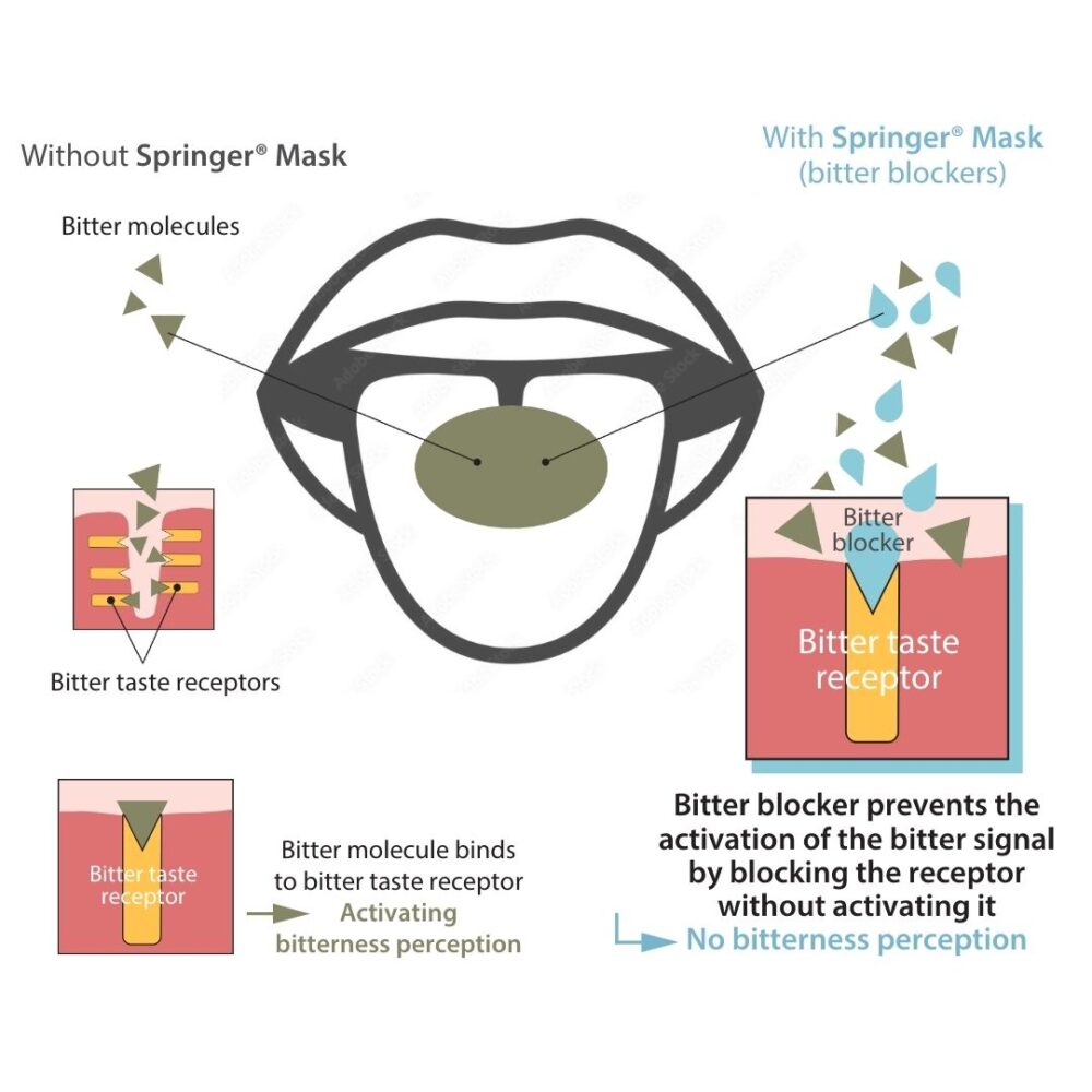 Springer® Mask range, natural solution for taste modulation